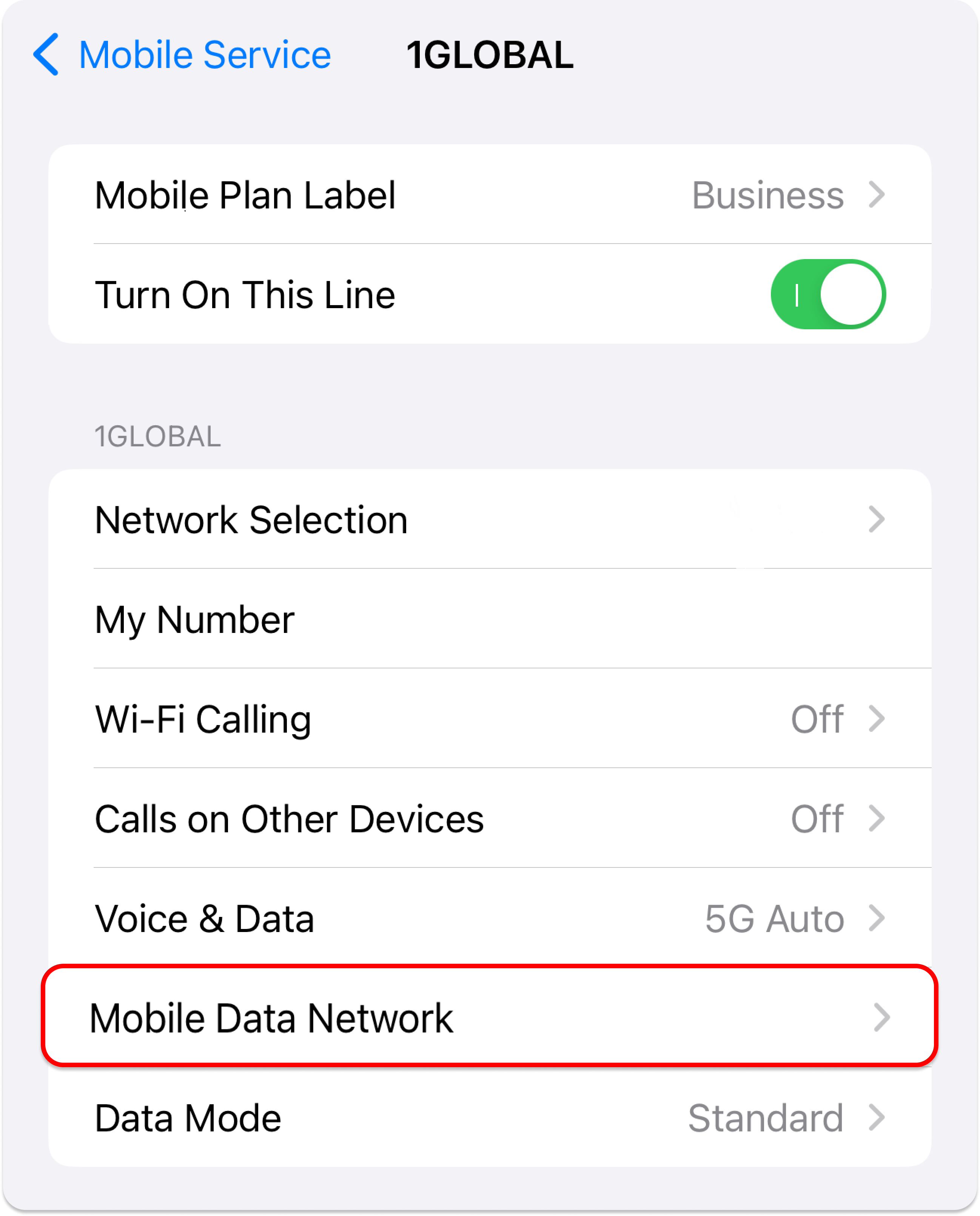 How to fix iOS no net issue? – Saily Help Center