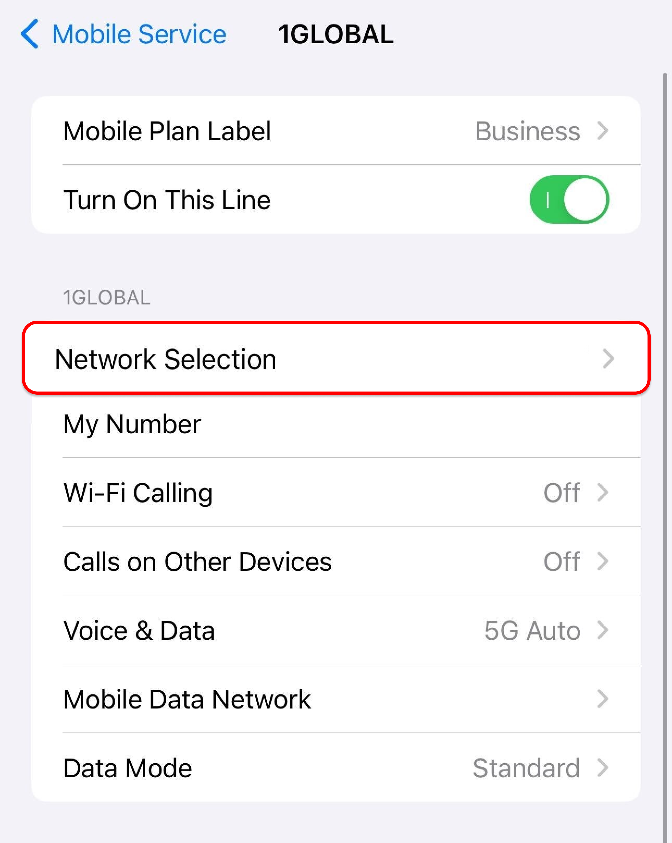 How to fix iOS no net issue? – Saily Help Center