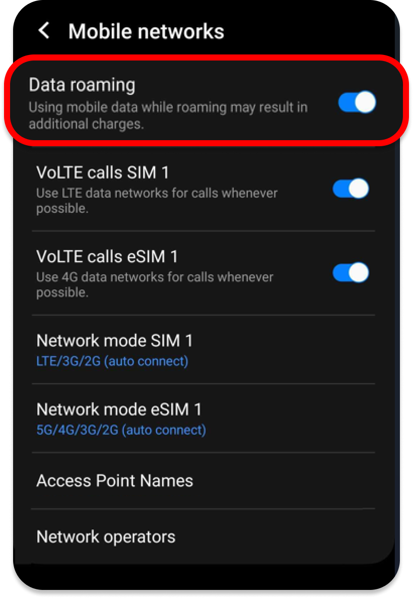 How to enable Data Roaming? – Saily Help Center